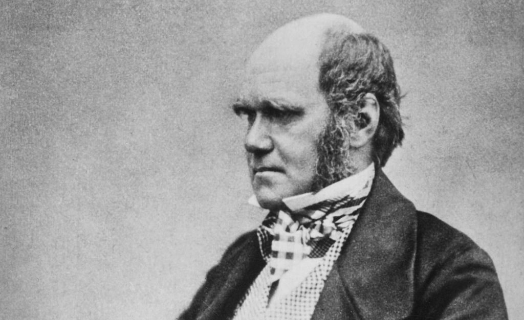 Charles Darwin – Books by Gilles Nullens